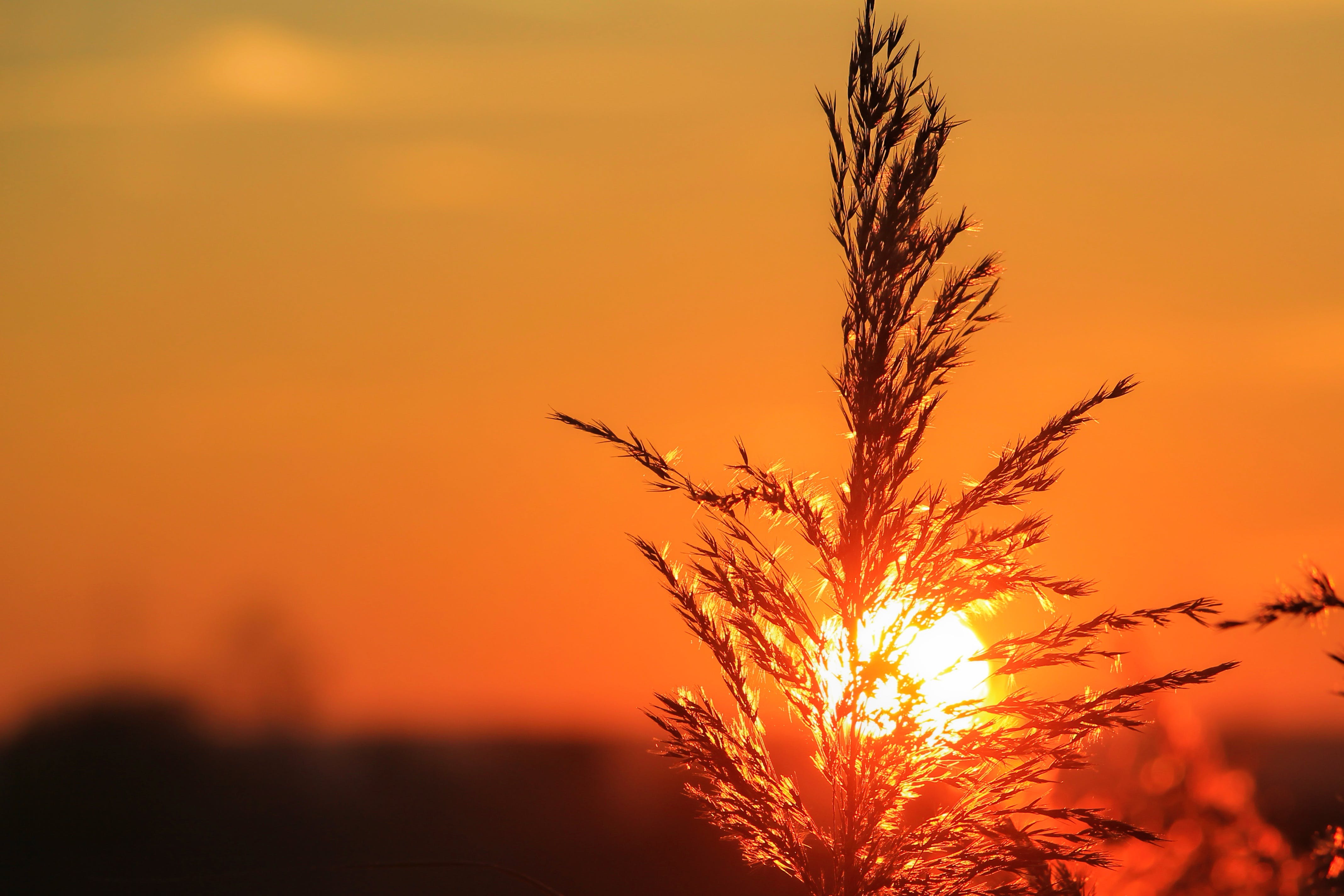 OhioAGOTraining- Sunshine Laws Training: Part 3 Exemptions to Public ...